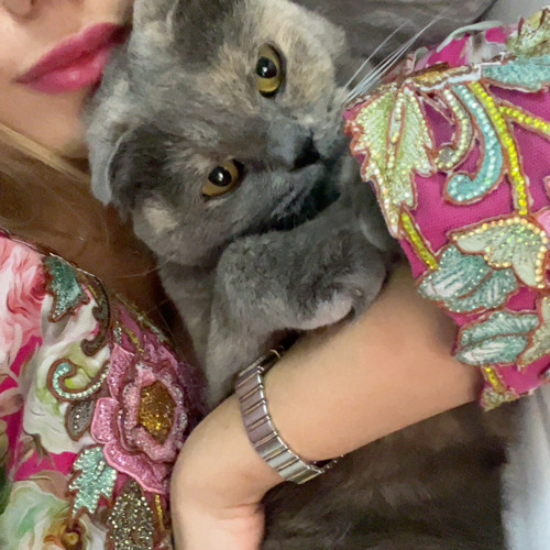 Stream kitss9 music | Listen to songs, albums, playlists for free on ...