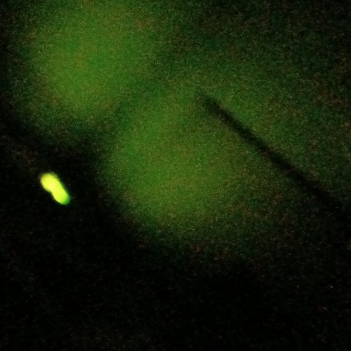 Stream xavier music | Listen to songs, albums, playlists for free on ...