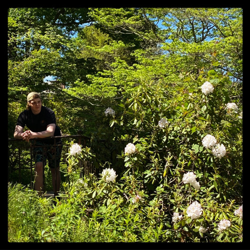 Stream Paul Fry music | Listen to songs, albums, playlists for free on ...