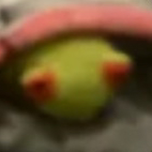 Stream bugs music | Listen to songs, albums, playlists for free on ...