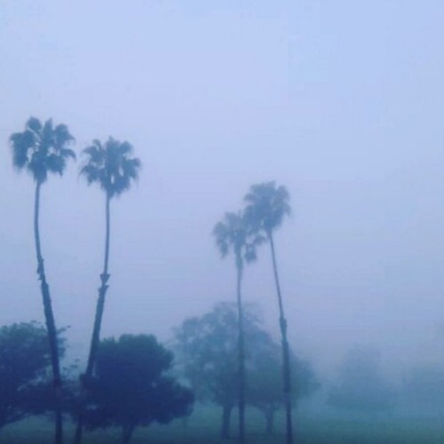 Stream Natalie cecil music | Listen to songs, albums, playlists for ...