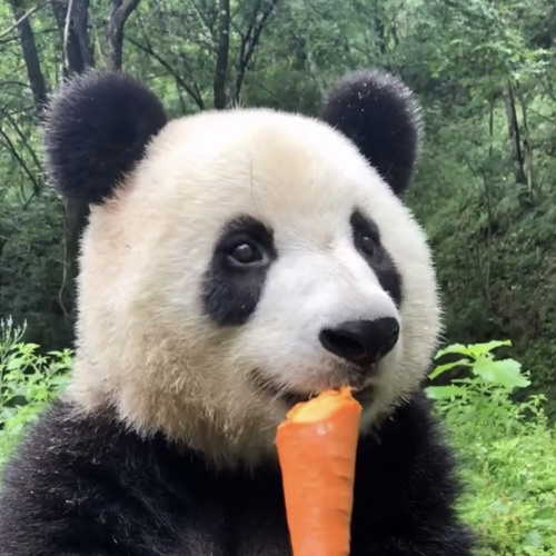 Stream HAYUN music | Listen to songs, albums, playlists for free on ...