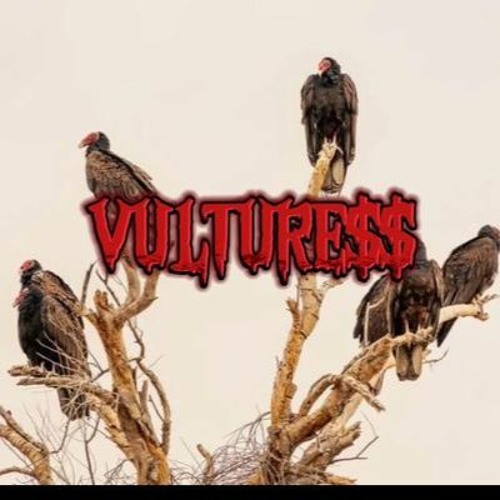 Stream VULTURE$$ music | Listen to songs, albums, playlists for free on ...