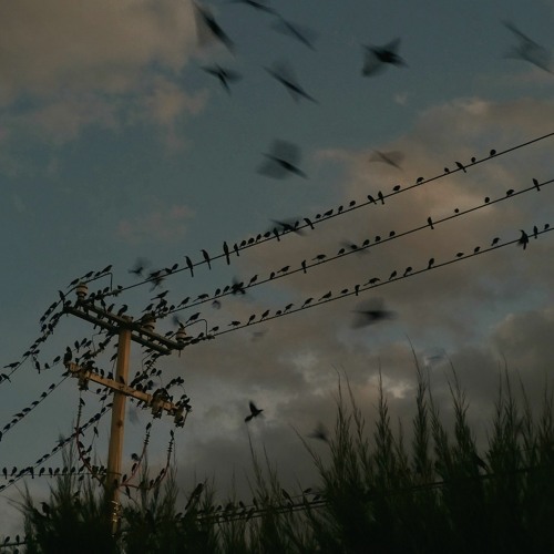 Stream mxo music | Listen to songs, albums, playlists for free on ...