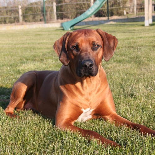 Stream amber_xx | Listen to tiktok playlist online for free on SoundCloud