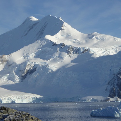 Stream A Vast Scale music | Listen to songs, albums, playlists for free ...