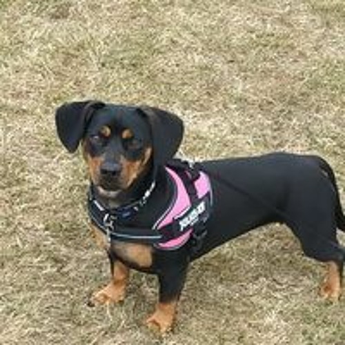 Stream Leanne Jayne Fitton music | Listen to songs, albums, playlists ...