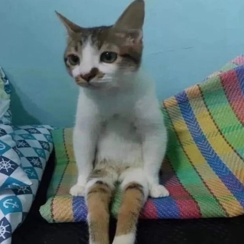 Stream chill music | Listen to songs, albums, playlists for free on ...