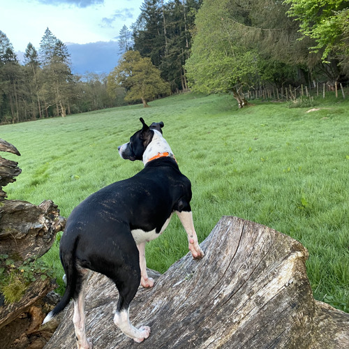 Stream Oliver music | Listen to songs, albums, playlists for free on ...