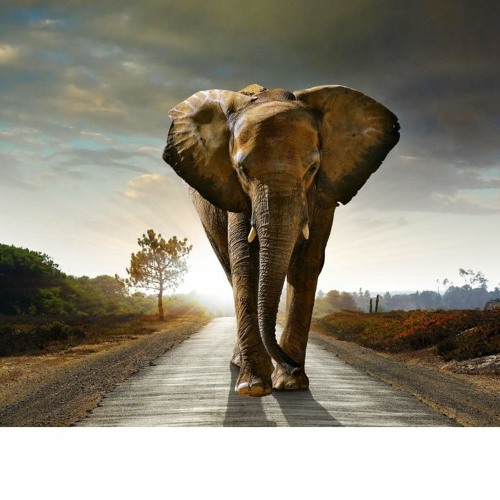 Stream Cai Lewis-Jayms music | Listen to songs, albums, playlists for ...