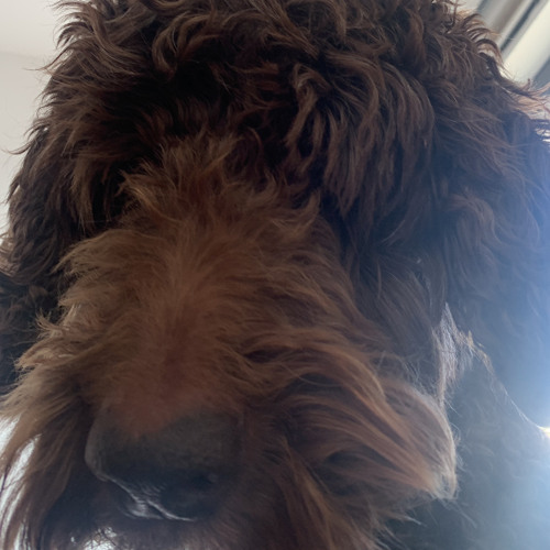 Stream angelosmbenson music | Listen to songs, albums, playlists for ...