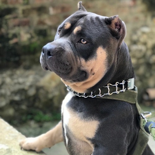 Stream DROGOD GJ music | Listen to songs, albums, playlists for free on ...