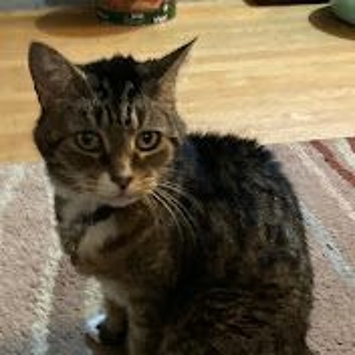 Stream prod. slanted music | Listen to songs, albums, playlists for ...