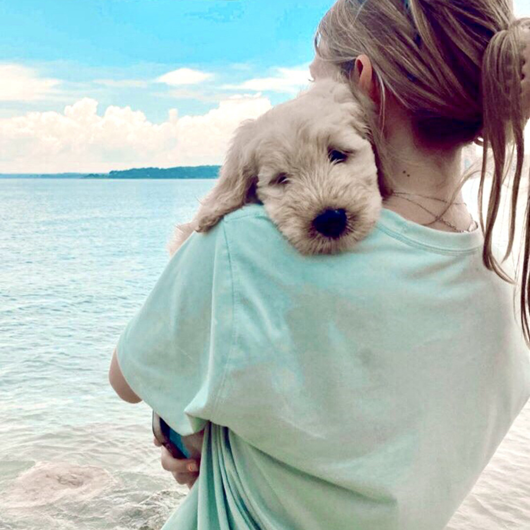 Stream maggie, gracefeel & me : ) music | Listen to songs, albums ...