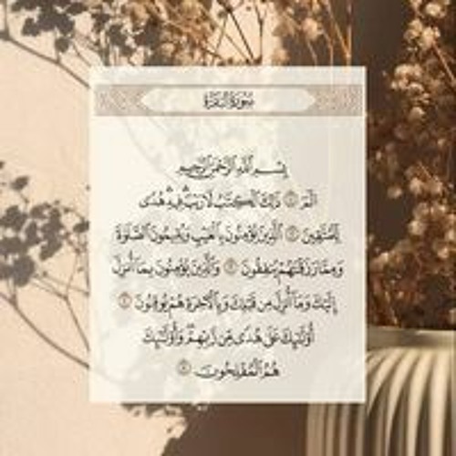 Stream Hadeer Salah music | Listen to songs, albums, playlists for free ...