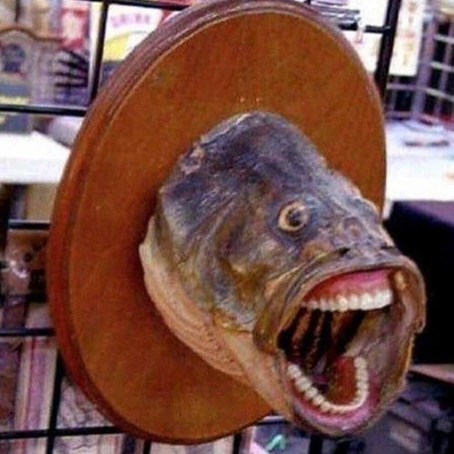 Stream Obama Gaming music | Listen to songs, albums, playlists for free ...