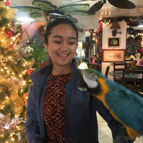 Stream Yanbing Wang music | Listen to songs, albums, playlists for free ...