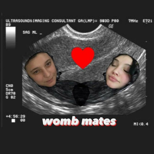 Stream Wombmates Podcast | Listen to podcast episodes online for free ...