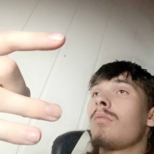 Stream nocapjesse💚🦍💯 music | Listen to songs, albums, playlists for ...