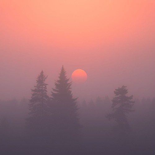 Stream Iris music | Listen to songs, albums, playlists for free on ...