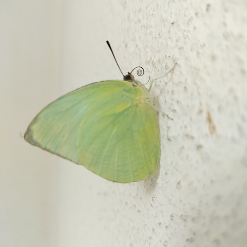 Stream Rhea Naomi music | Listen to songs, albums, playlists for free ...