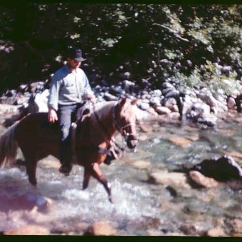 Stream Bliven music | Listen to songs, albums, playlists for free on ...