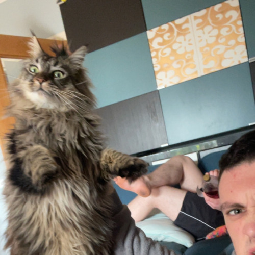 Stream Oisin Gallagher music | Listen to songs, albums, playlists for ...