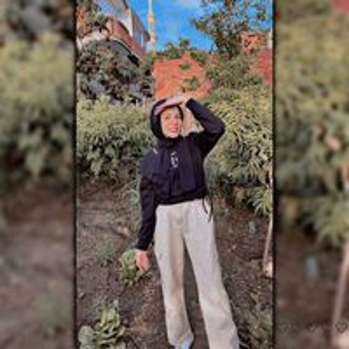 Stream Sama Mohamed music | Listen to songs, albums, playlists for free ...