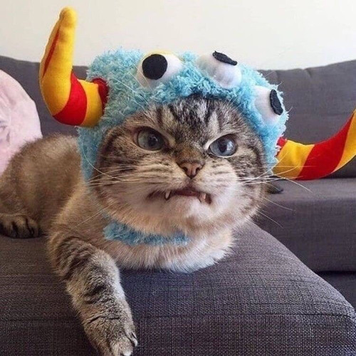 Stream jhgv music | Listen to songs, albums, playlists for free on ...