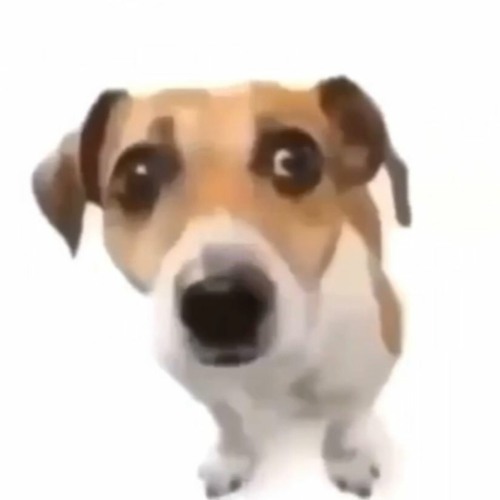 Stream Rajeed x Baljeet music | Listen to songs, albums, playlists for ...