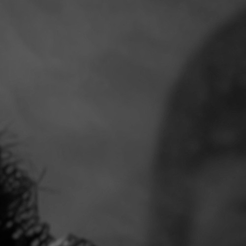 Stream LeexWrld music | Listen to songs, albums, playlists for free on ...