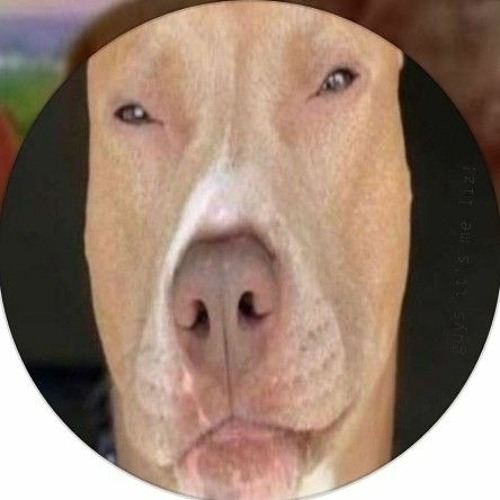 Stream quindarious gooch music | Listen to songs, albums, playlists for ...