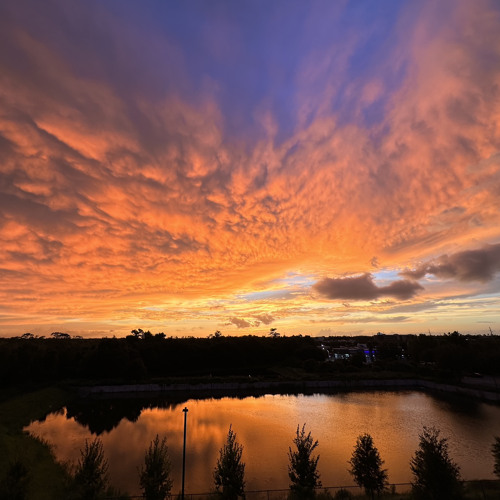 Stream Avyay Rao music | Listen to songs, albums, playlists for free on ...