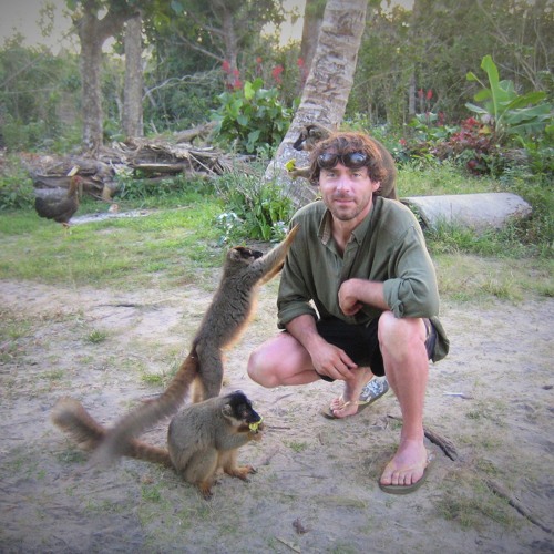 Stream Ours cradingue music | Listen to songs, albums, playlists for ...