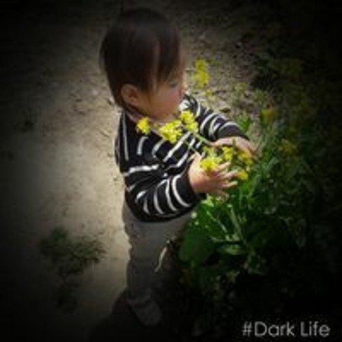 Stream PeMa DeMa music | Listen to songs, albums, playlists for free on ...