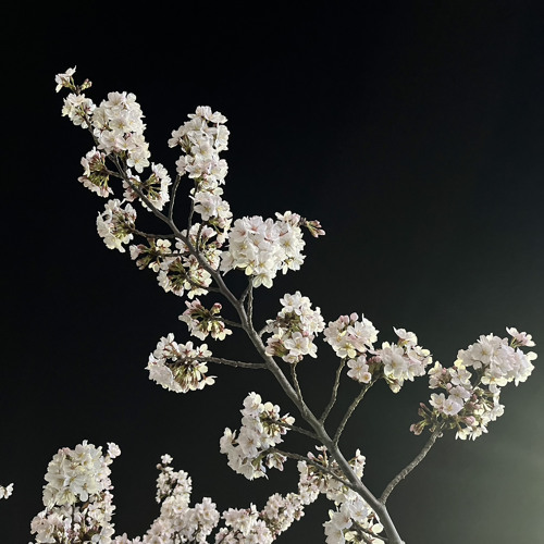 Stream shsjsn music | Listen to songs, albums, playlists for free on ...