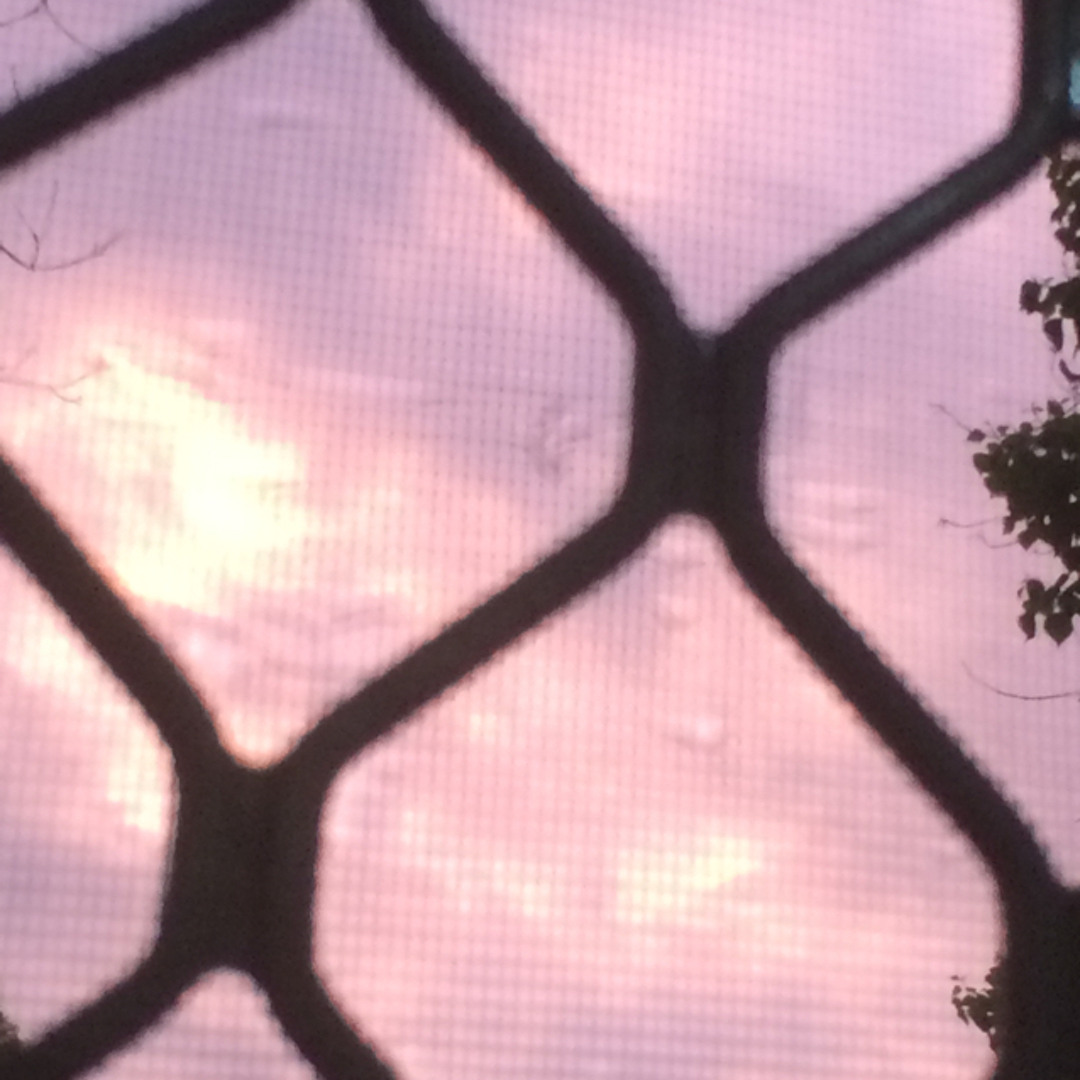 Stream The Owl House Finale Luz's Sacrifice (Don’t Worry, I Think It ...