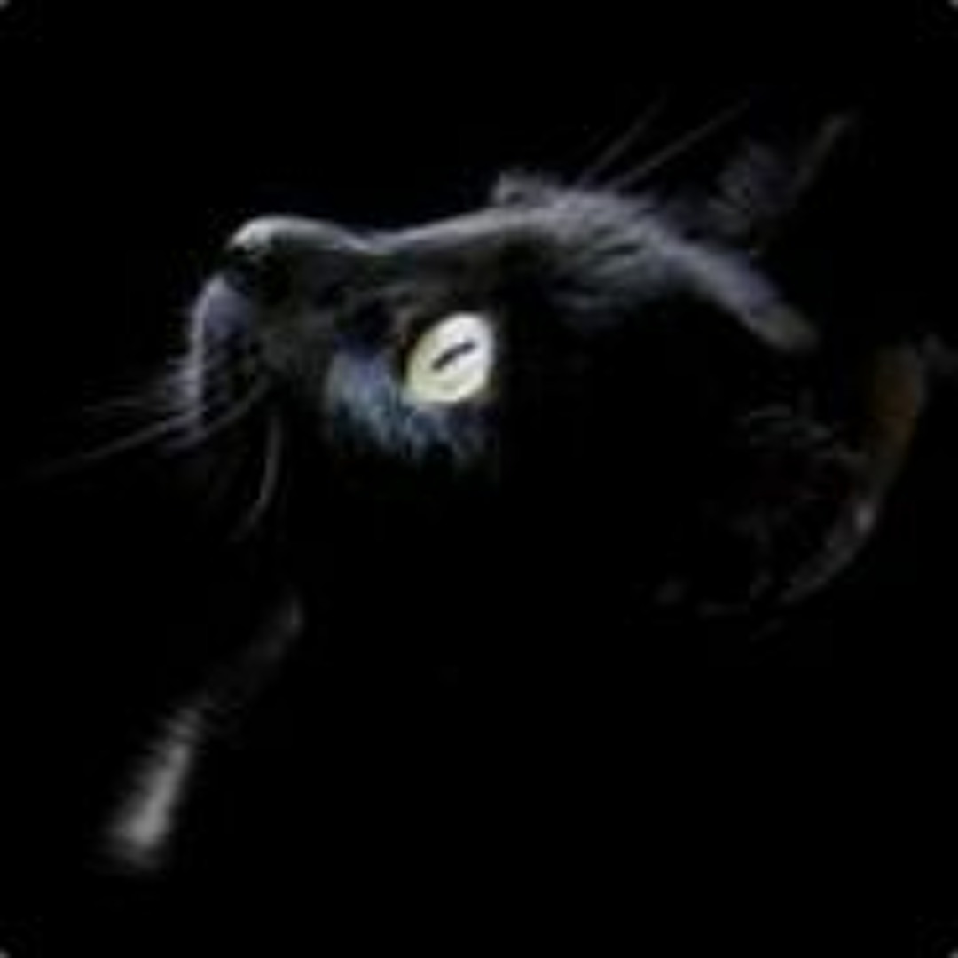 Stream Hyperdrive Boogie by NyO1 | Listen online for free on SoundCloud