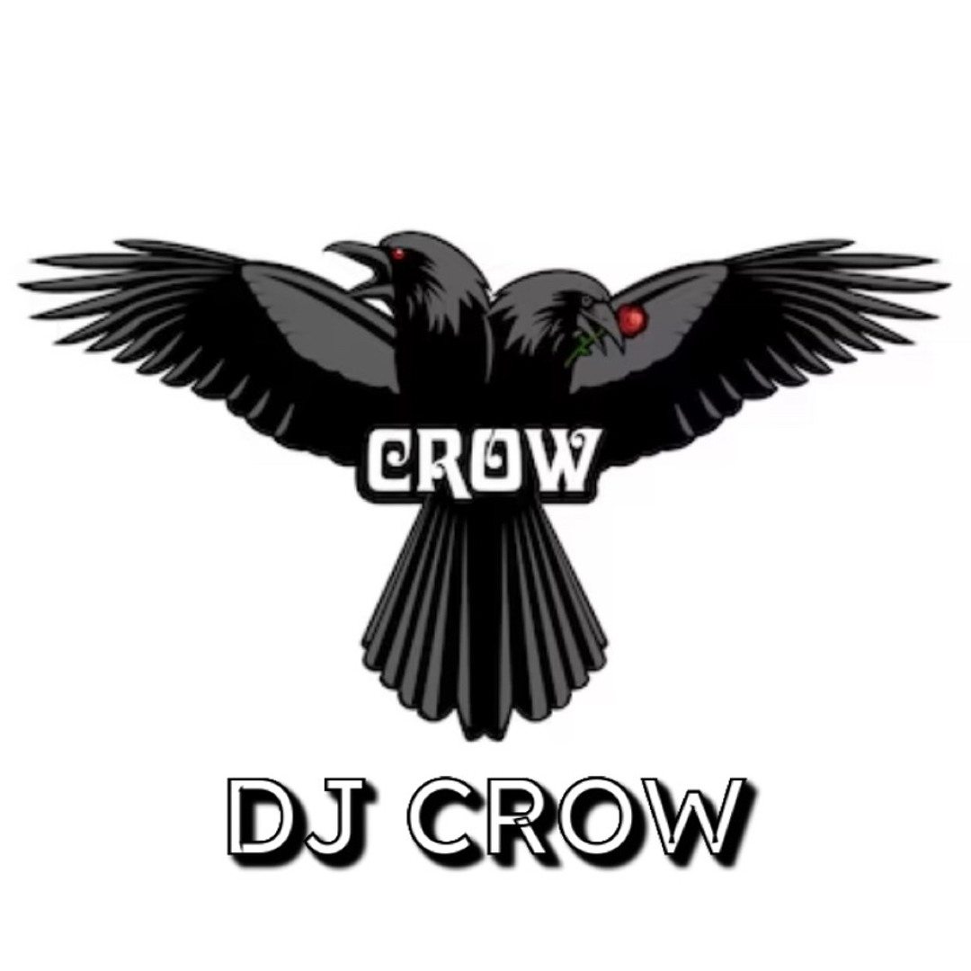 Stream ‎⁨مروة احمد - الو ها يا حبيبي ريمكس DJ CROW- by DJ CROW | Listen ...