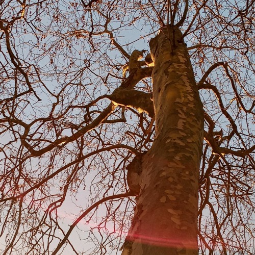 Stream Don tiller music | Listen to songs, albums, playlists for free ...