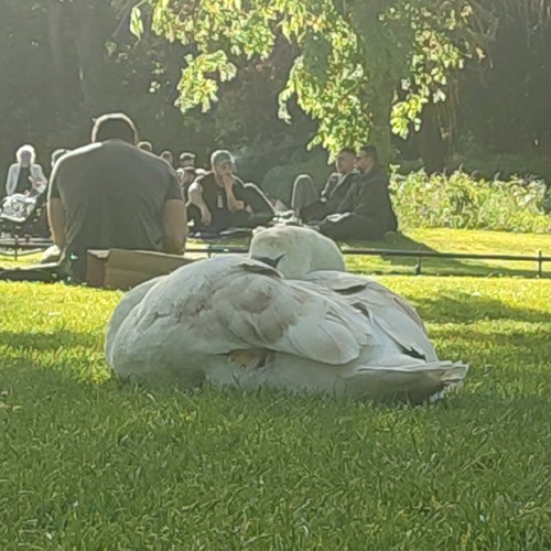 Stream Ash Soot music | Listen to songs, albums, playlists for free on ...