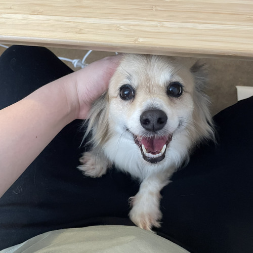 Stream LWS music | Listen to songs, albums, playlists for free on ...