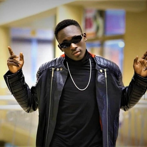 Stream Bibo Official music | Listen to songs, albums, playlists for ...