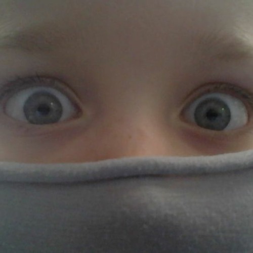 Stream Douglas Rhoads music | Listen to songs, albums, playlists for ...