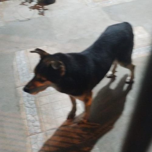 Stream Too Slow V2 - Friday Night Funkin' by Dafonz | Listen online for ...