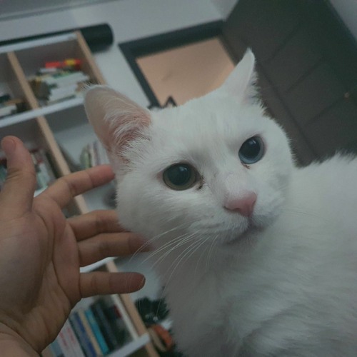 Stream Phill Lee music | Listen to songs, albums, playlists for free on ...