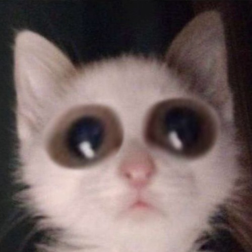 Stream Werty Jam music | Listen to songs, albums, playlists for free on ...