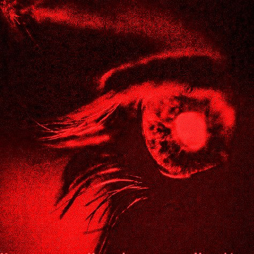 Stream empty carcass music | Listen to songs, albums, playlists for ...