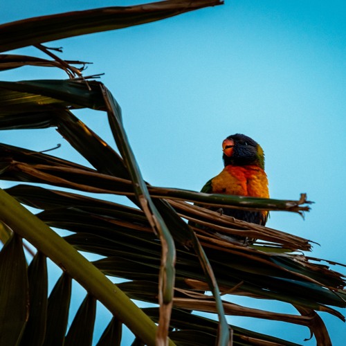 Stream James music | Listen to songs, albums, playlists for free on ...