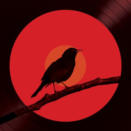 Stream ISMA STEPPA music | Listen to songs, albums, playlists for free on SoundCloud